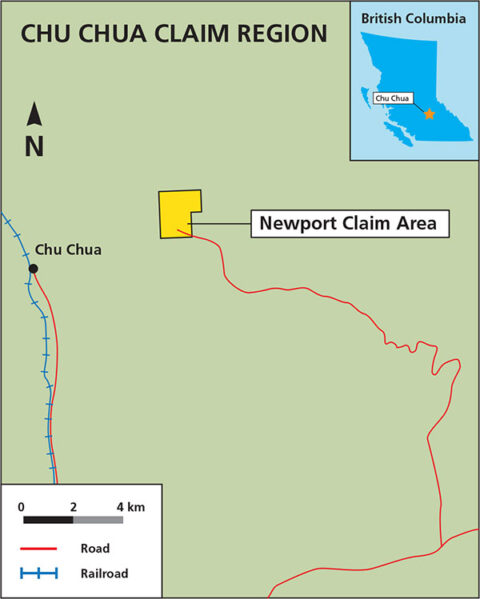The Chu Chua Copper Gold Deposit | Newport Exploration Ltd.